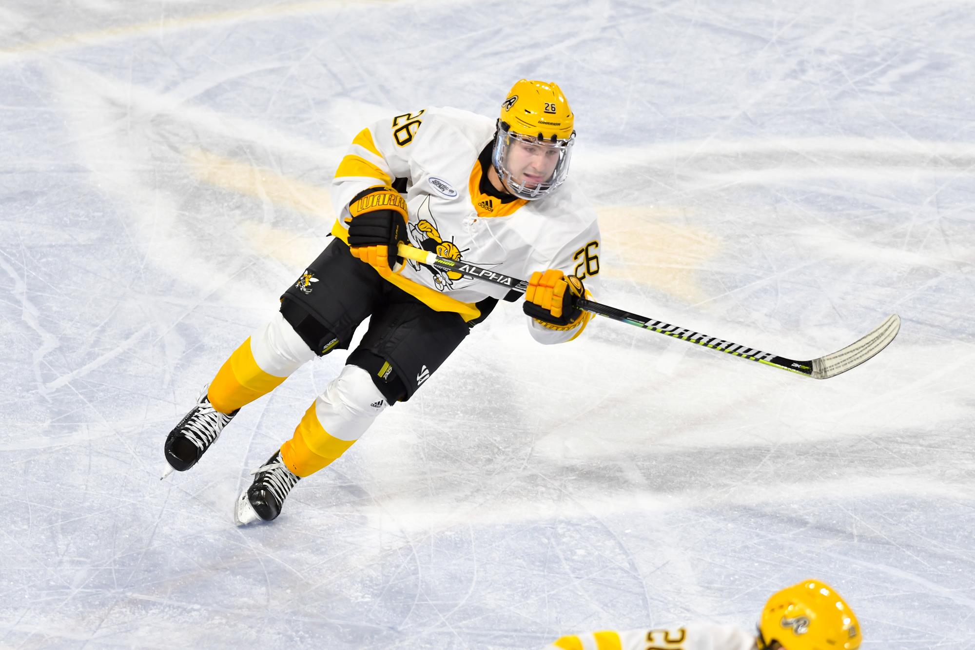 Alumni Spotlight | NCAA Atlantic Hockey Association | CCHL- Central ...